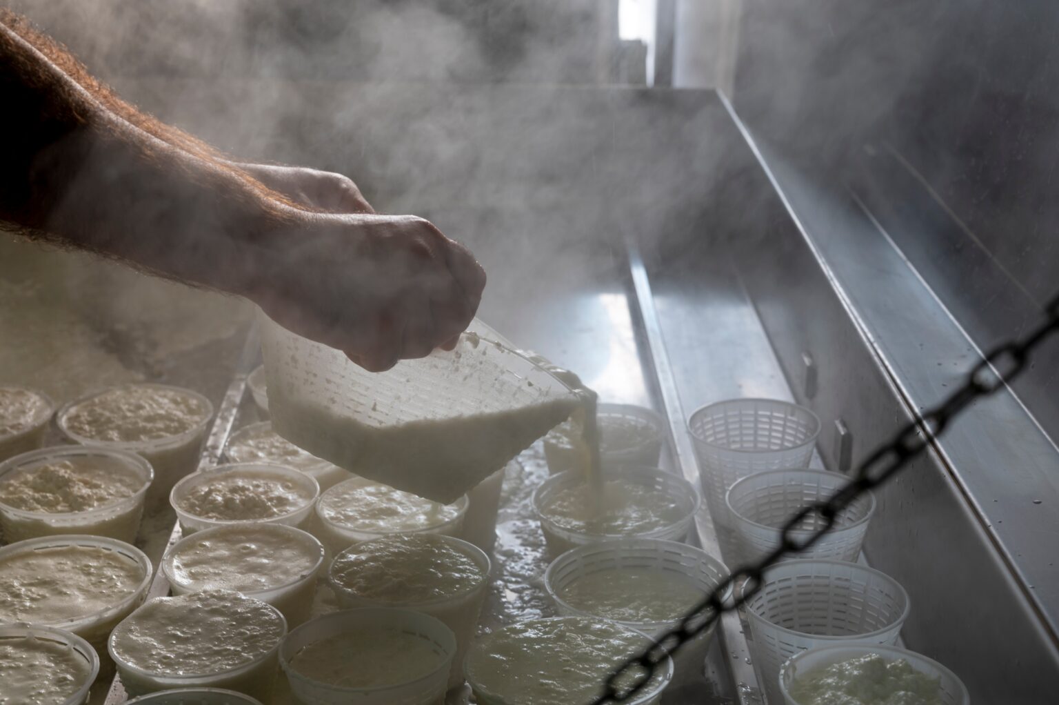 Da li je kozja surutka najveći mit koji su nam prodali